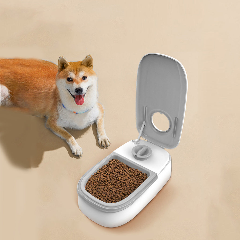 Distributeur Automatique De Croquettes Pour Chien
