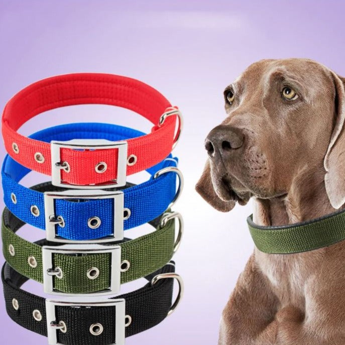 Collier Pour Chien En Nylon Robuste – Mikizi